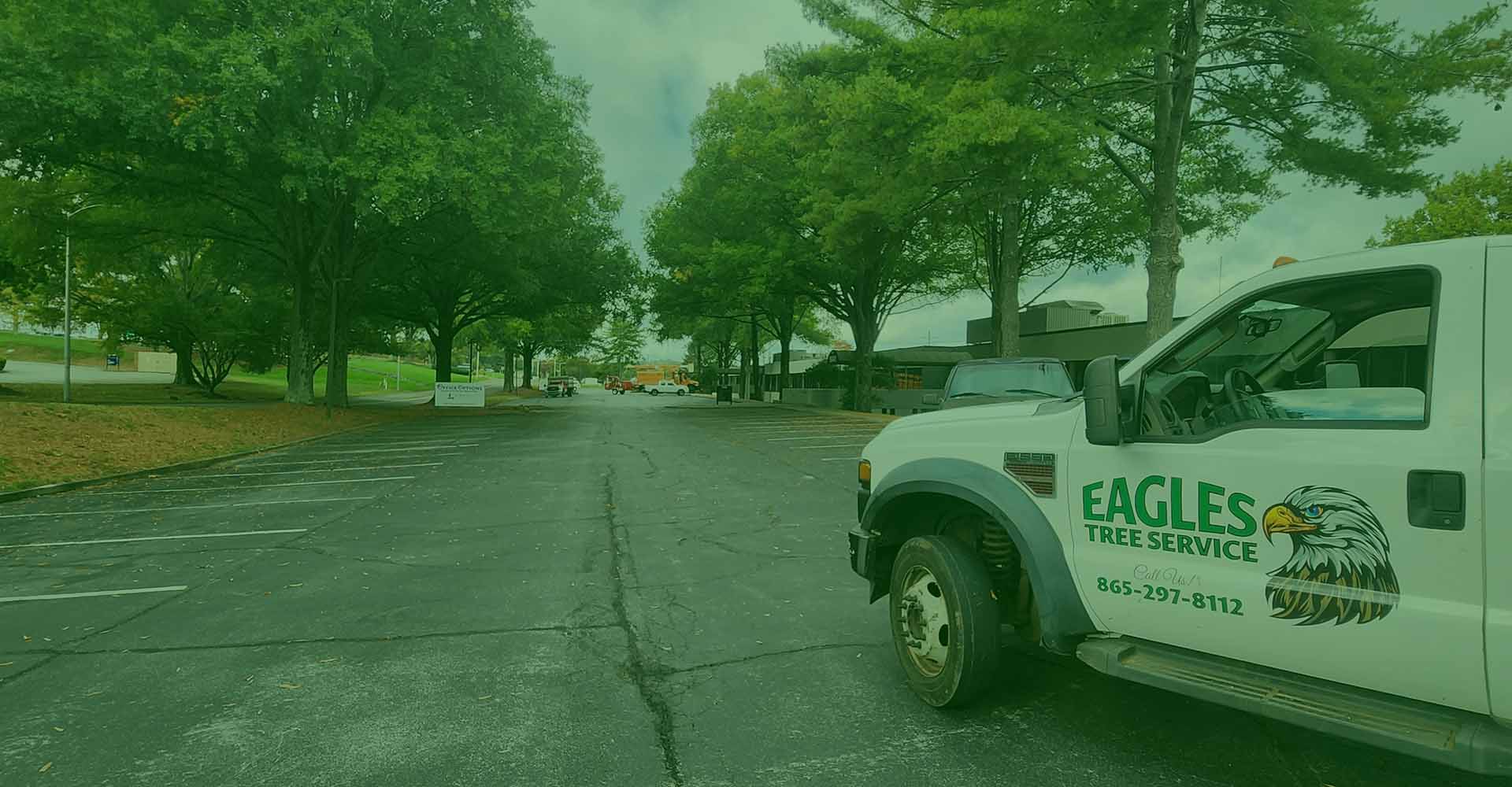 Eagles Tree Service – Eagles Tree Service